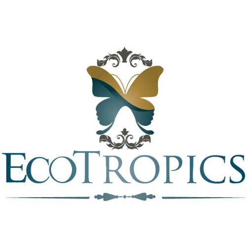 iCARES Technology - Smart Community