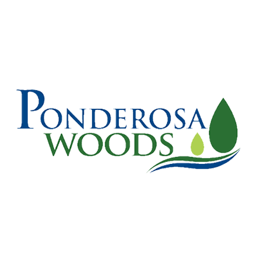 iCARES Technology - Smart Community